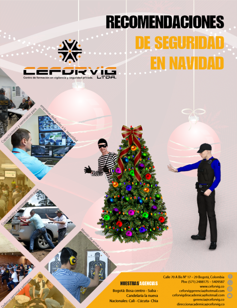 RECOMENDACIONES DE SEGURIDAD EN NAVIDAD – CEFORVIG LTDA